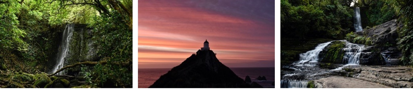 Catlins 2-5 April – Nature Photography Society of NZ