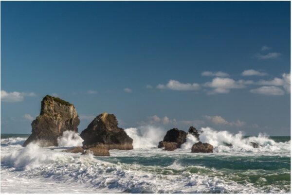 South Westland Lake Paringa Lodge Field Trip Report – Nature ...