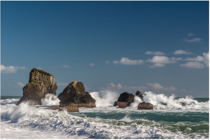 South Westland Lake Paringa Lodge Field Trip Report – Nature ...